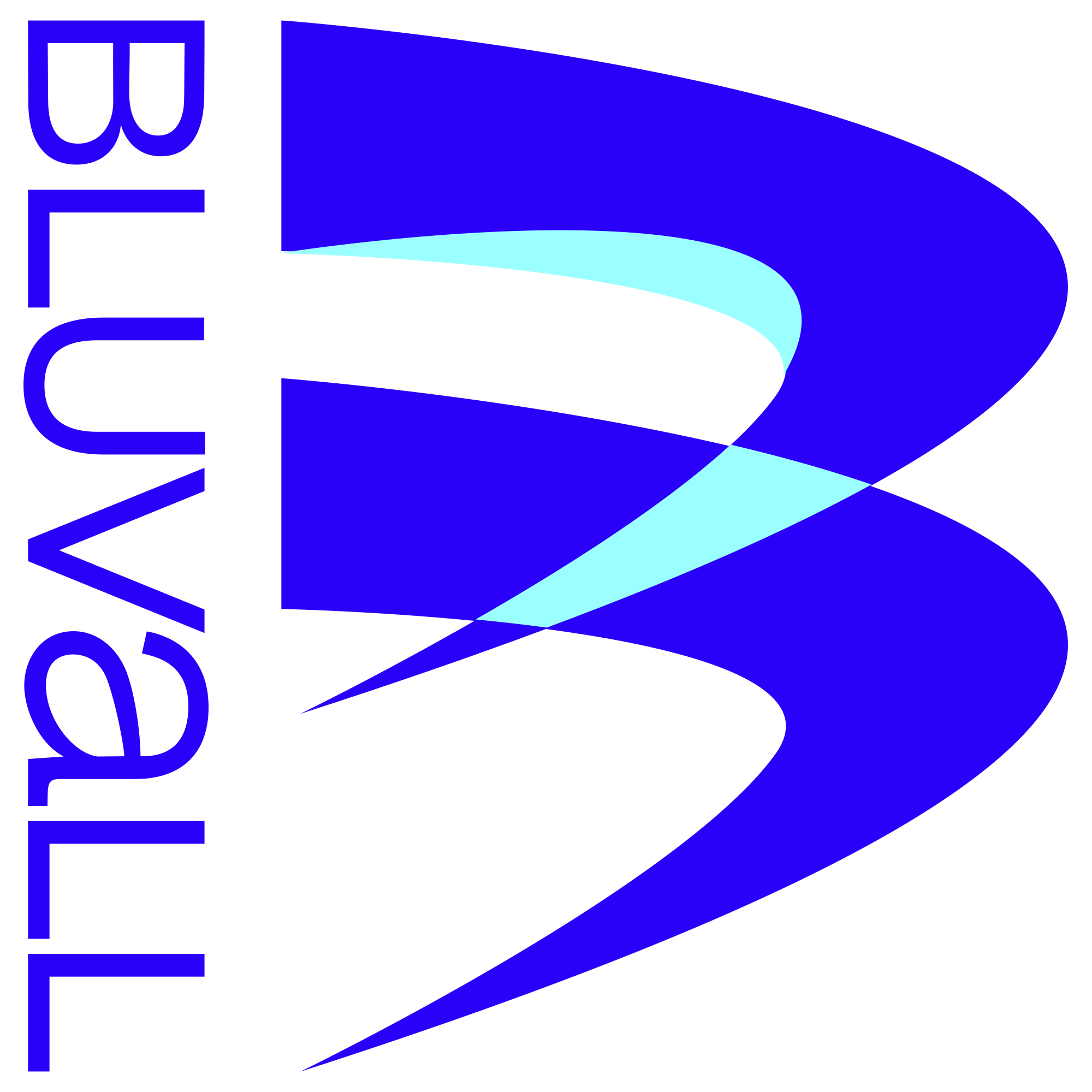 Loyalty Program – Bluvall